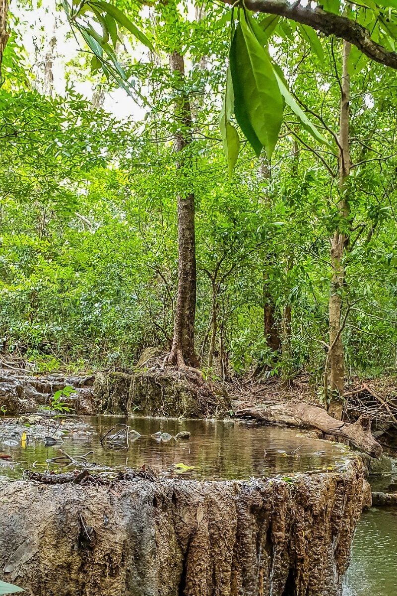 Things To Do - Fifi Resorts Pvt Ltd